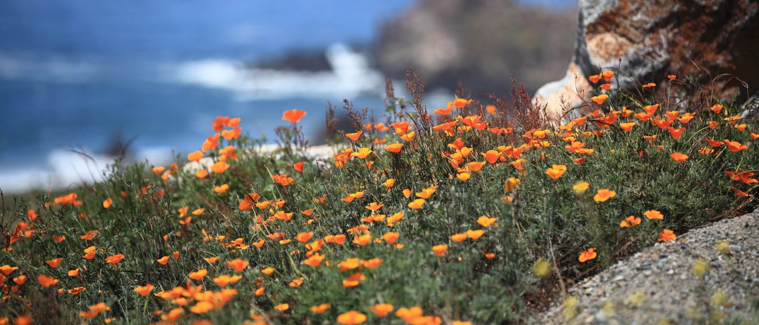 How To Get Compensated - CA Victim Compensation Board